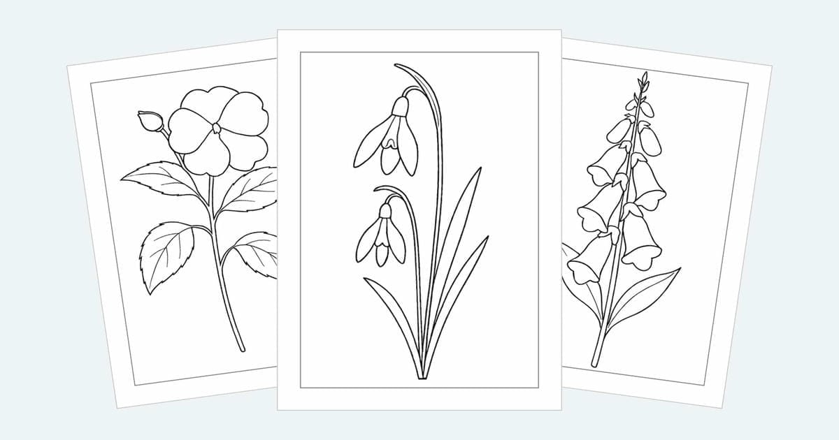 Flower Coloring Pages (Free Printable PDF Sheets for Kids & Adults)